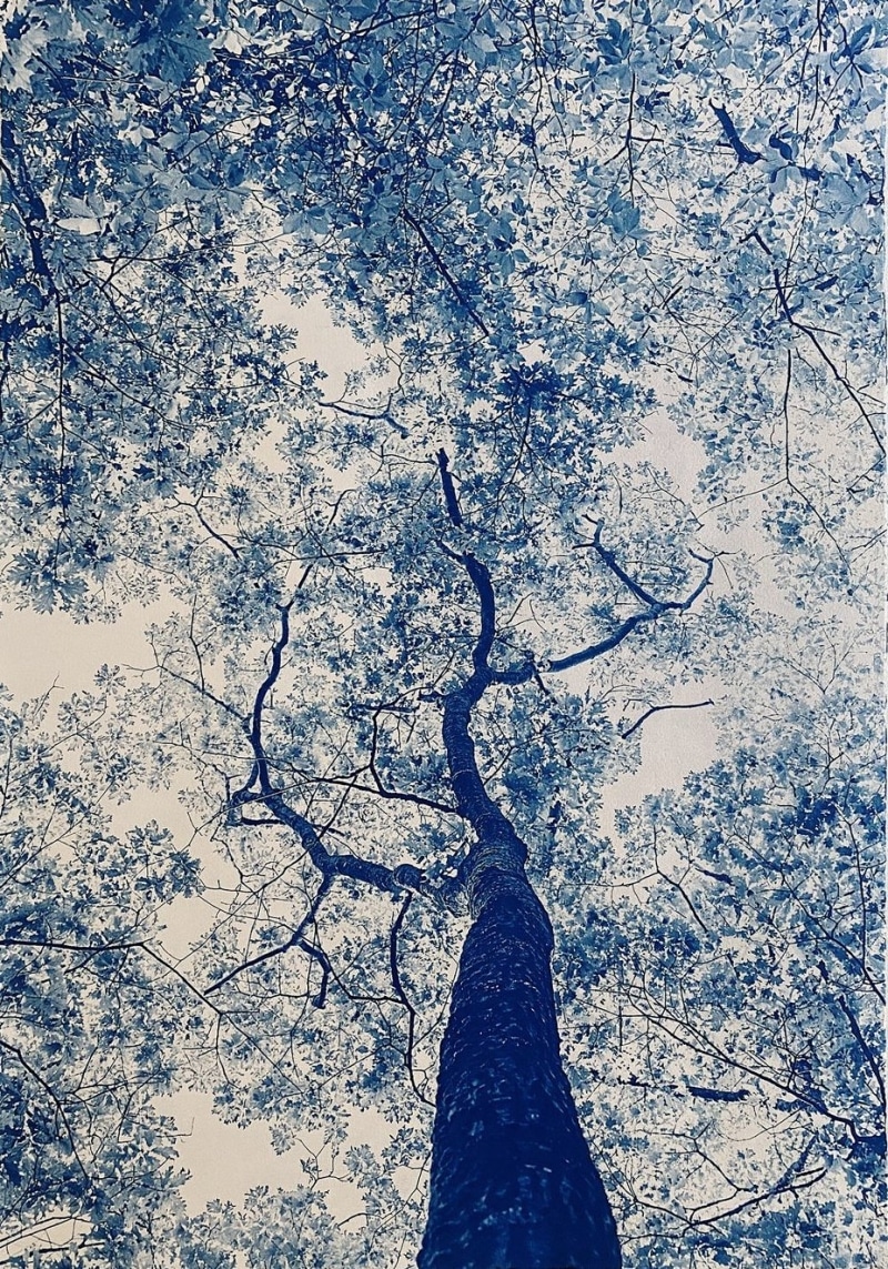 Artist Spotlight: Dora Somosi - CoCollect